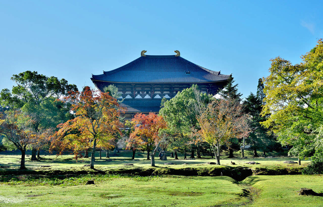 [One-day tour in Nara and Uji] Byodoin Temple, The Tale of Genji Museum ...